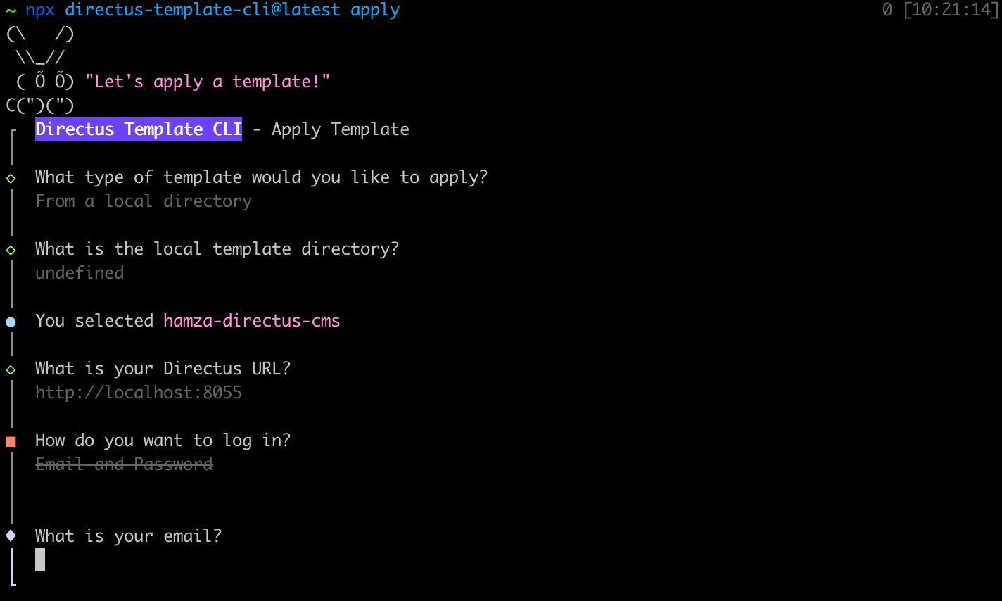 The Hidden Power of Directus Templates: Your Secret Weapon for Faster ...